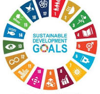 NBS | SDGs Reports